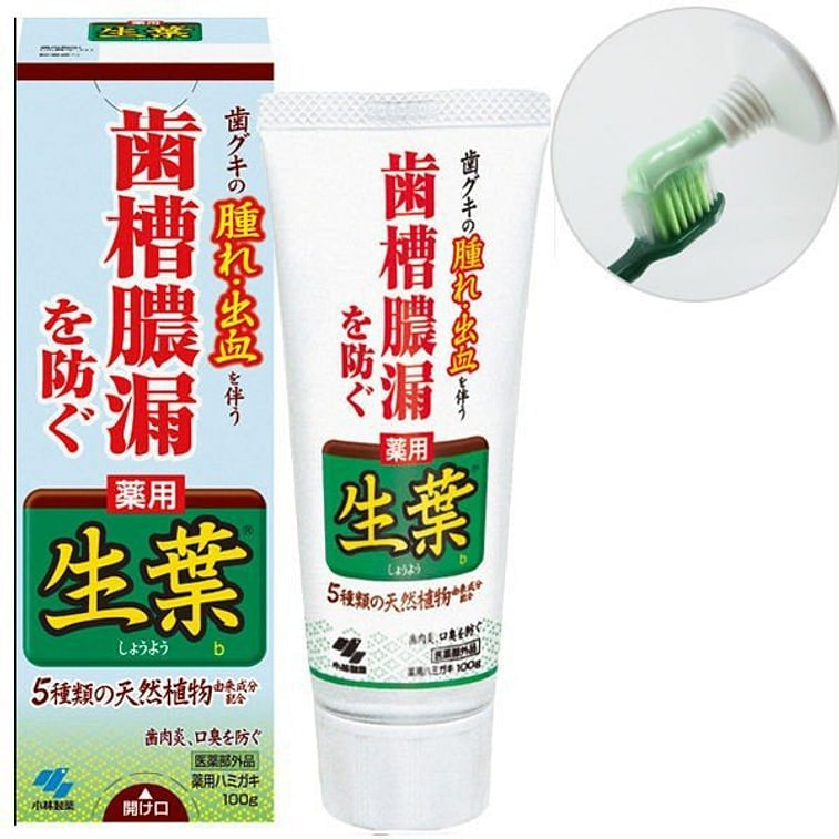 KOBAYASHI JAPAN Toothpaste Green - Weee!