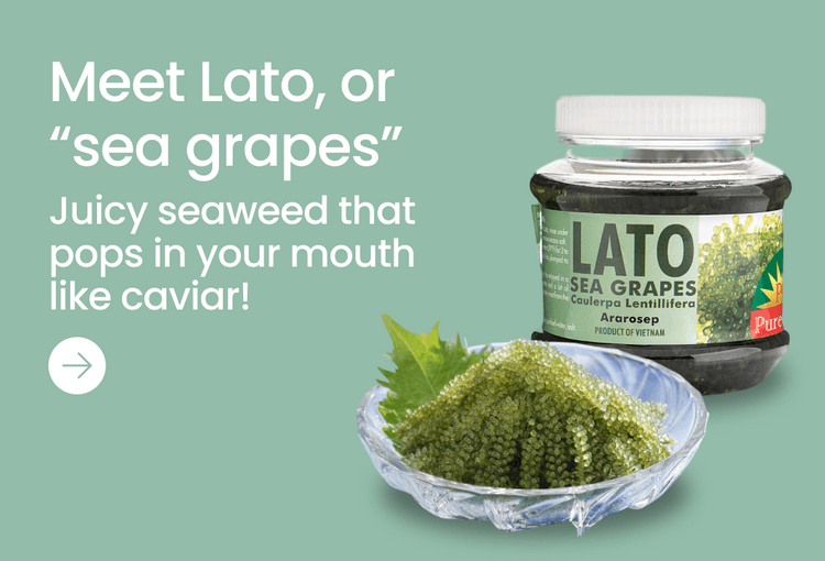 Meet LATO, or "Sea Grapes"!