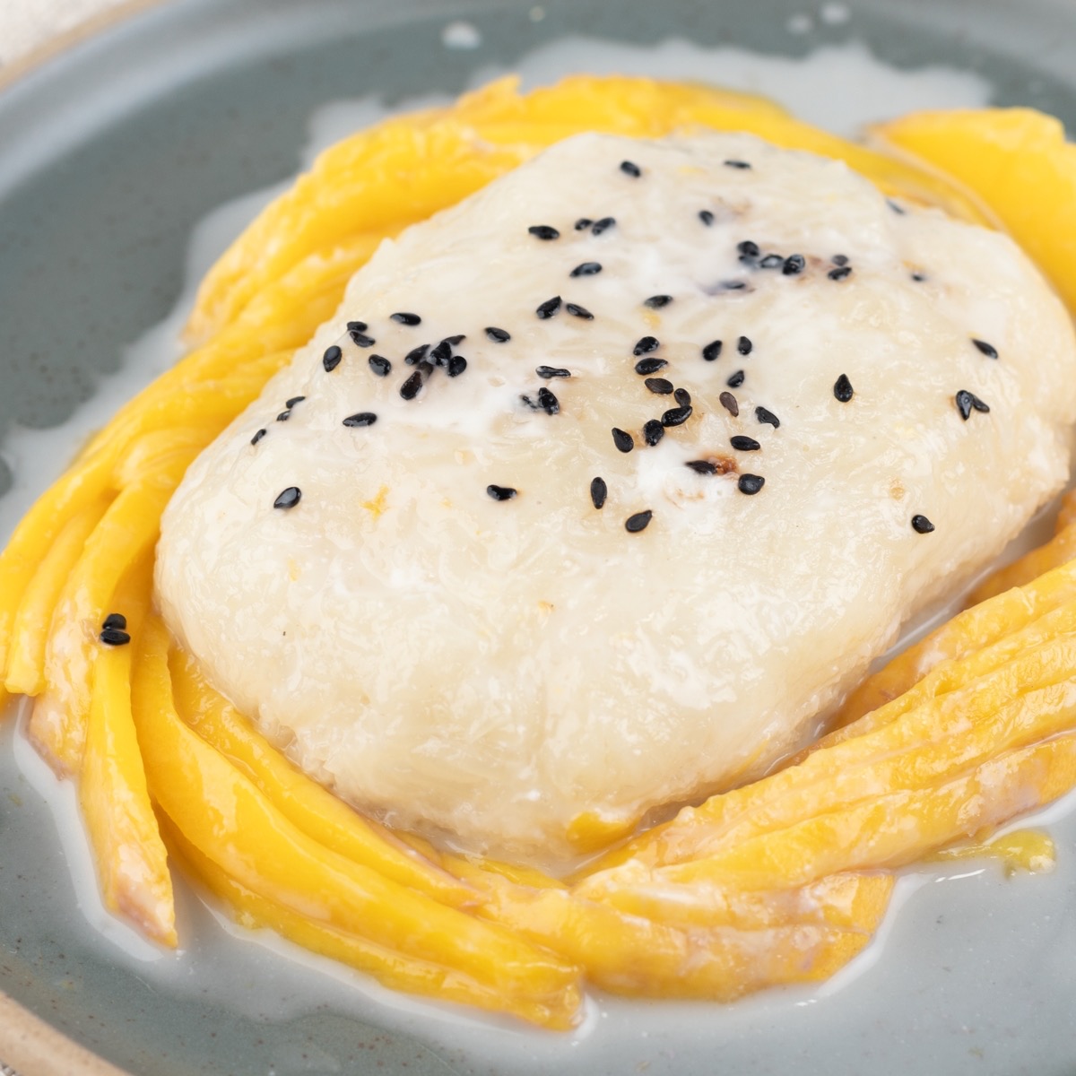 Mango Sticky Rice 300g - Weee!