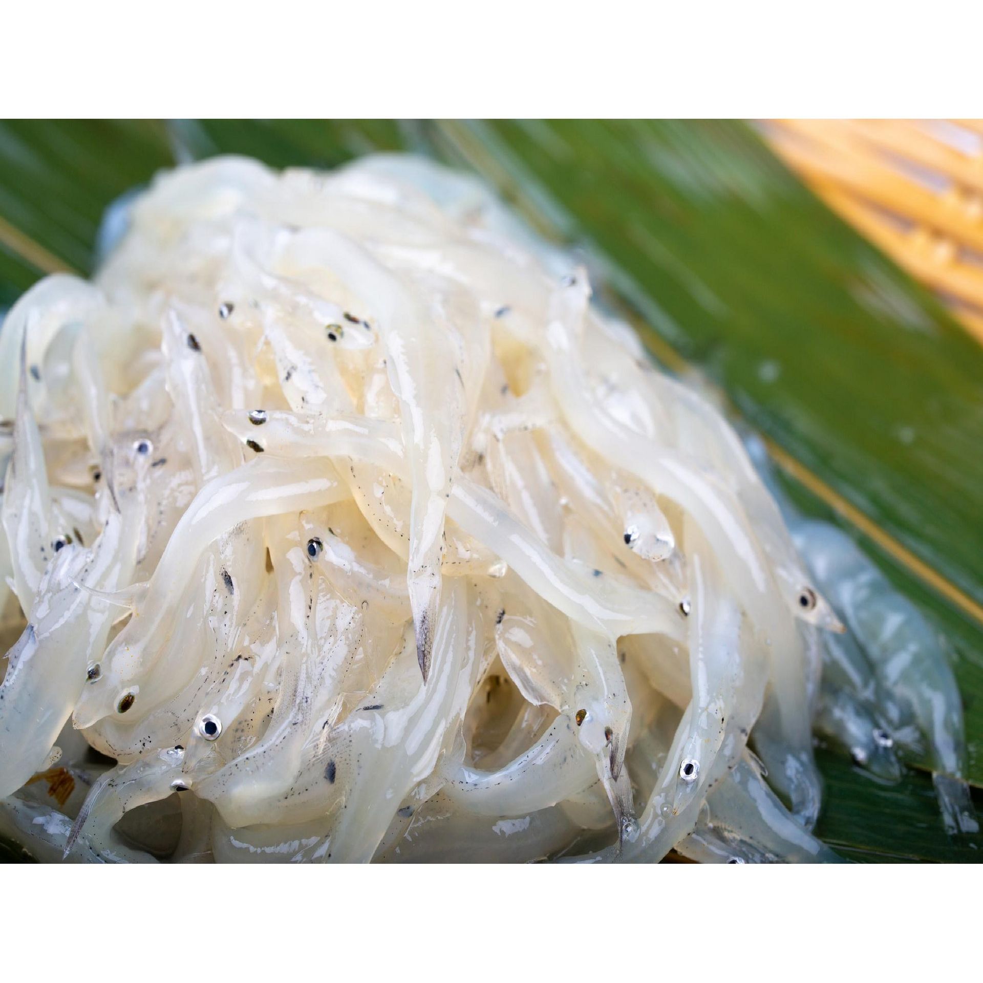 Get ICEFISH(SHIRAUO), 200G Delivered | Weee! Asian Market