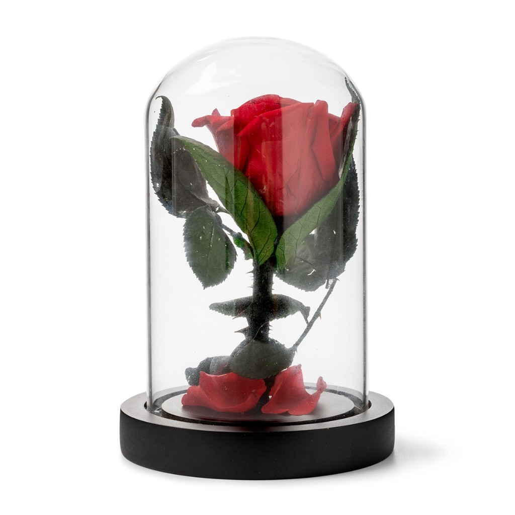 Get Eternal Flowers Red Roses Delivered | Weee! Asian Market