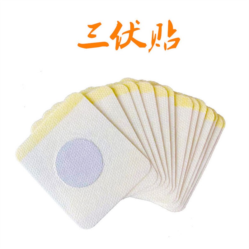 Get Sanfutie Wormwood Moxibustion Moxa acupoint Patch Plaster 60 ...