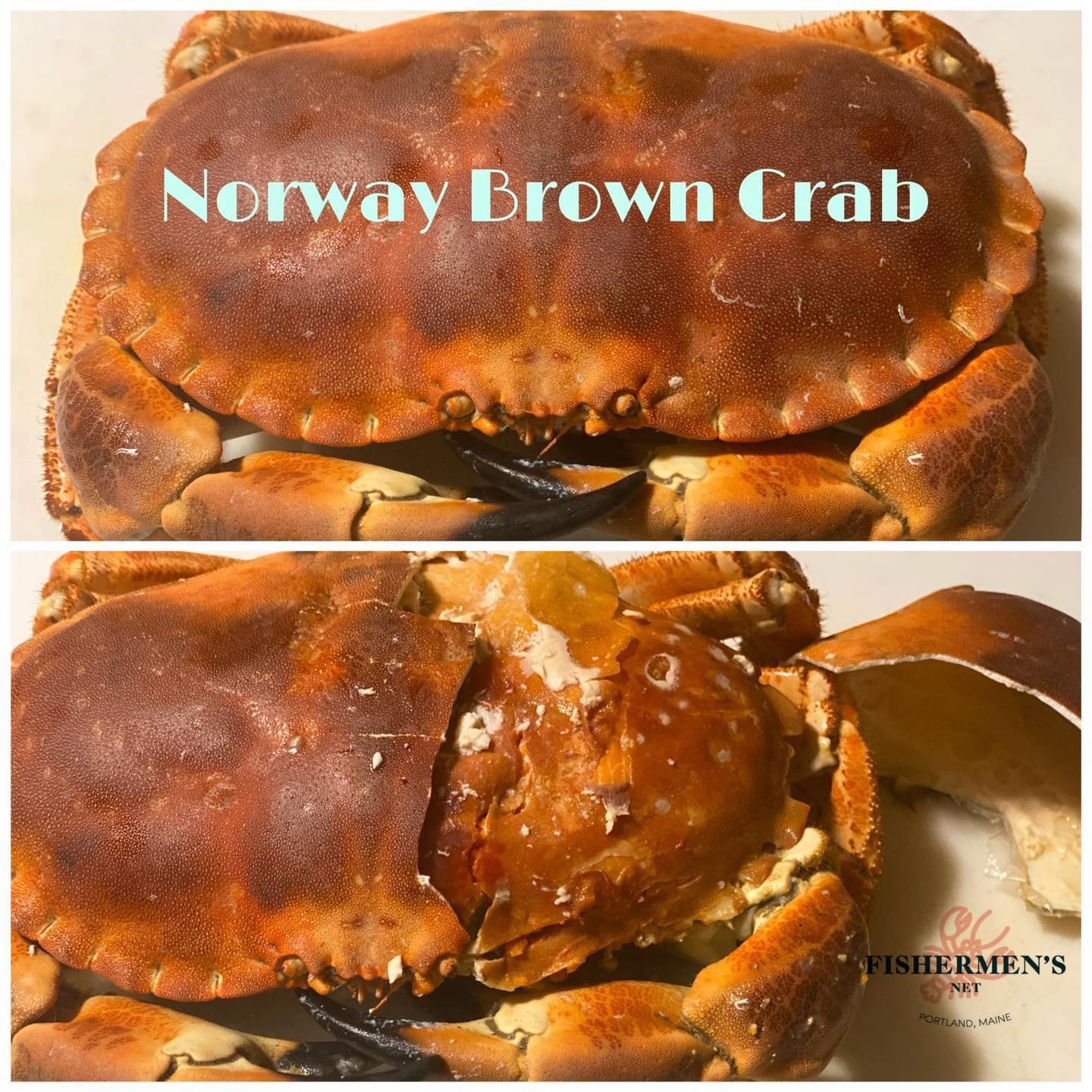 Get Live fresh Norway Brown Crab- 10lb/box Delivered | Weee! Asian Market