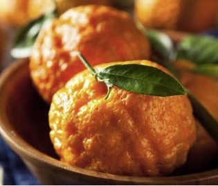 Gold Nugget Orange - Weee!