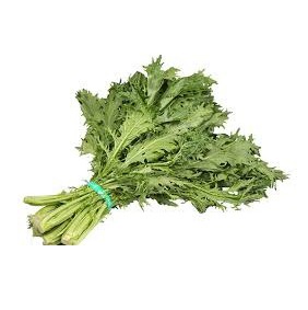 Potherb Mustard - Weee!