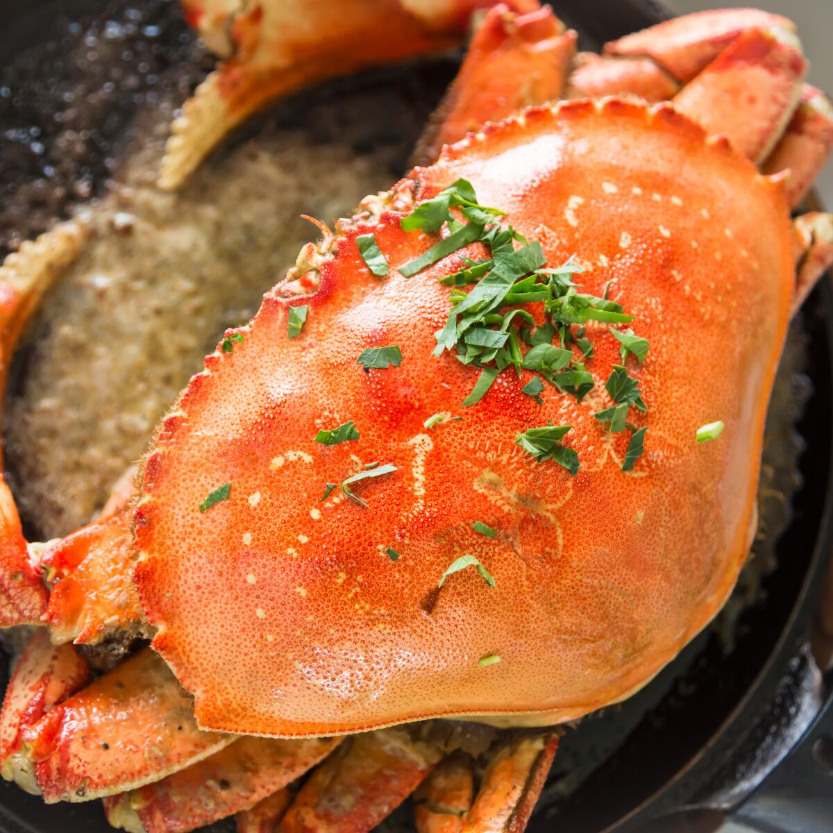 Get Live Fresh Dungeness Crabs Delivered | Weee! Asian Market
