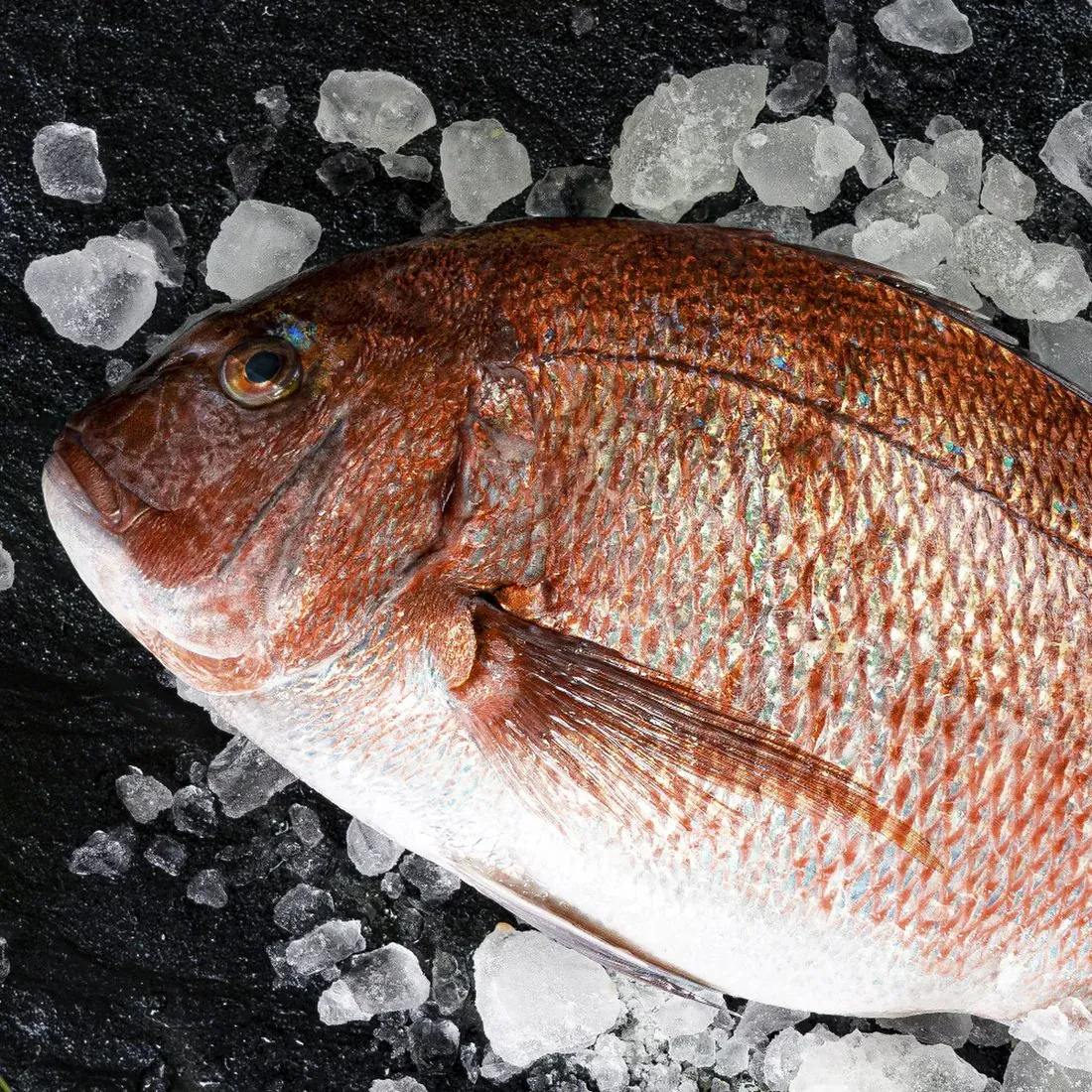 Get Wando's highest quality semi-dried prepared red sea bream (5 large ...