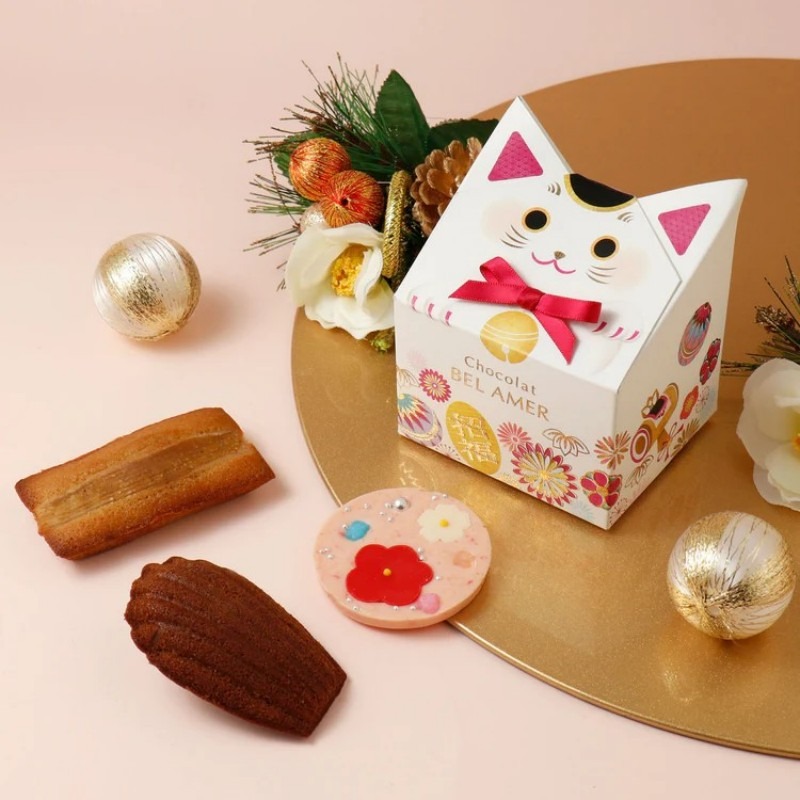 Get Japan Kyoto Bel Amer Chocolate gift box 3 pcs Delivered | Weee ...