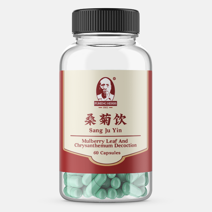 Get Sang Ju Yin - Mulberry Leaf And Chrysanthemum Decoction - 60 pills 12 Containers Delivered ...