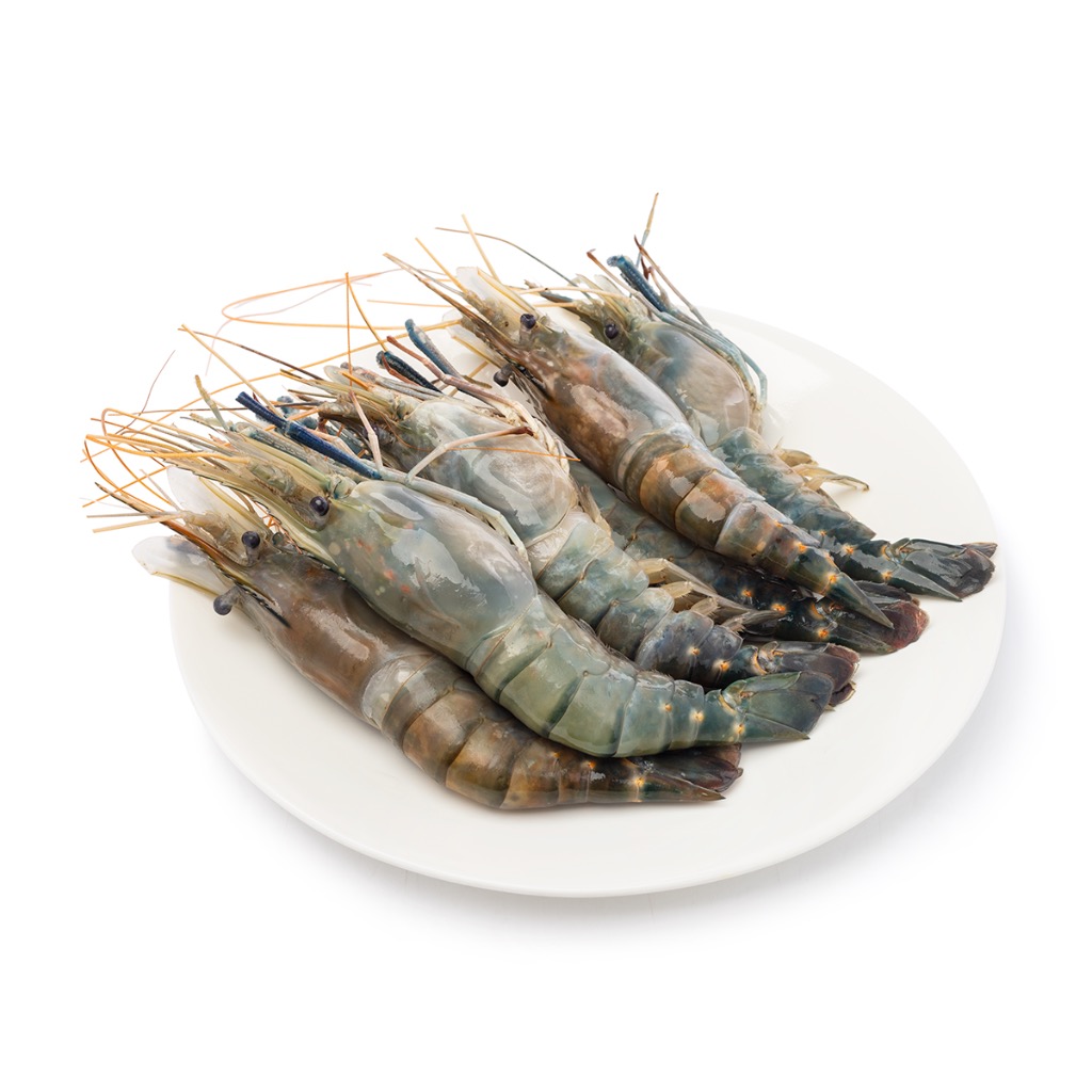 Fresh Prawns In Water