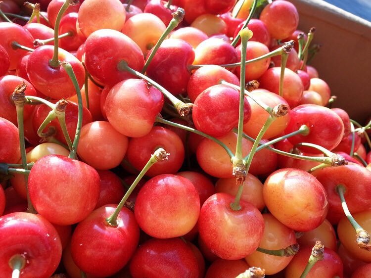 Get Fresh export quality Rainer Cherry 9.5row + Delivered | Weee! Asian ...