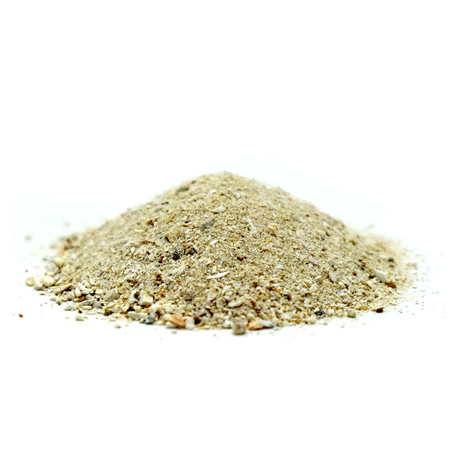 LONG GU - 龙骨 - Fossilized Mammal bones - Custom Amount 1lb (454g) - Weee!