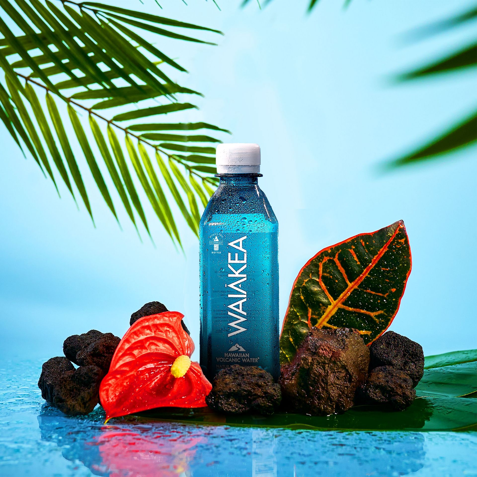 Waiakea Hawaiian Volcanic Water 330 mL 24 Pack - Weee!