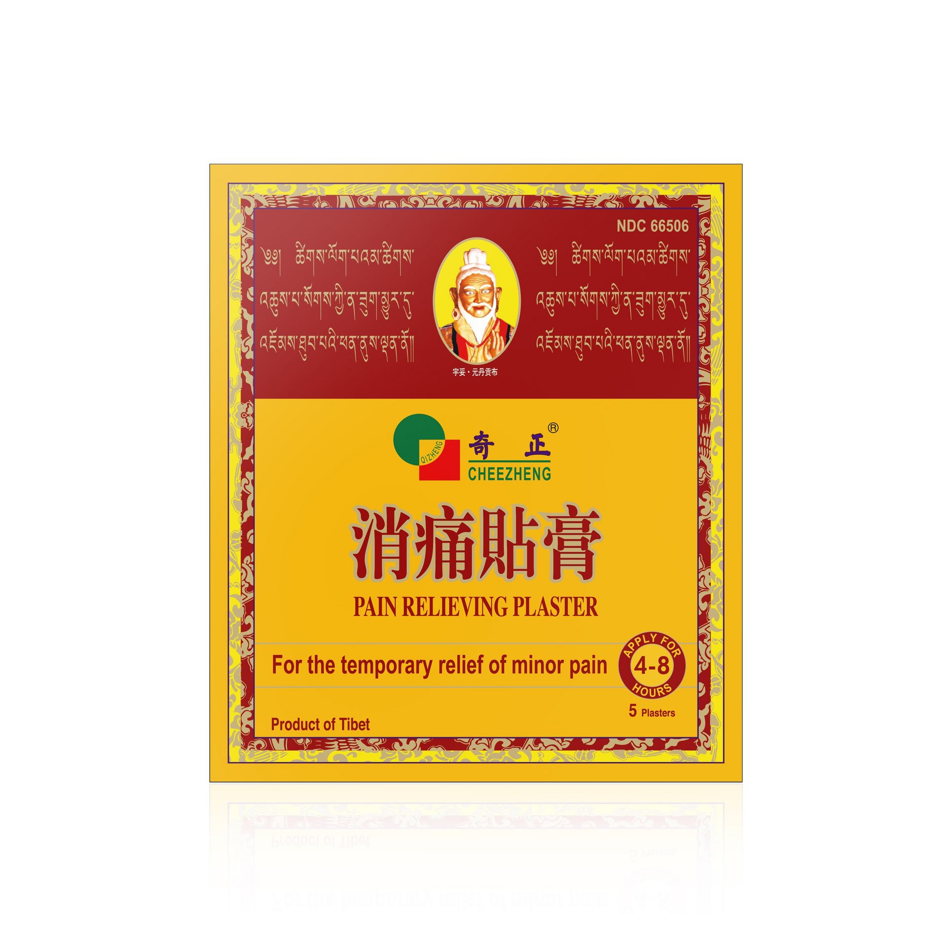 Get CheeZheng Pain Relieving Plaster 1 box 5 plasters 5 pack Delivered ...