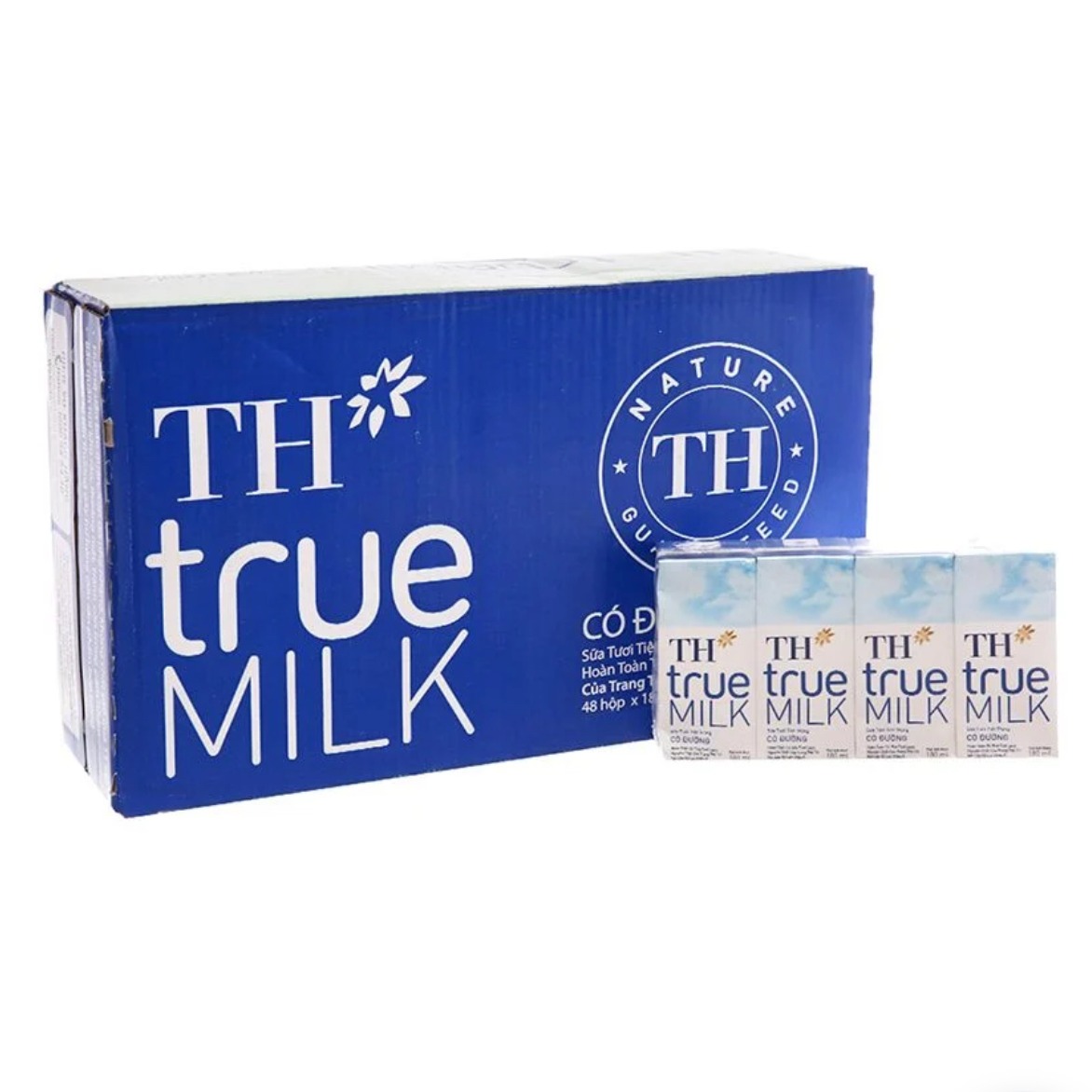 TH true MILK SUGAR Fresh Milk 180ml x 48 CANS - Weee!