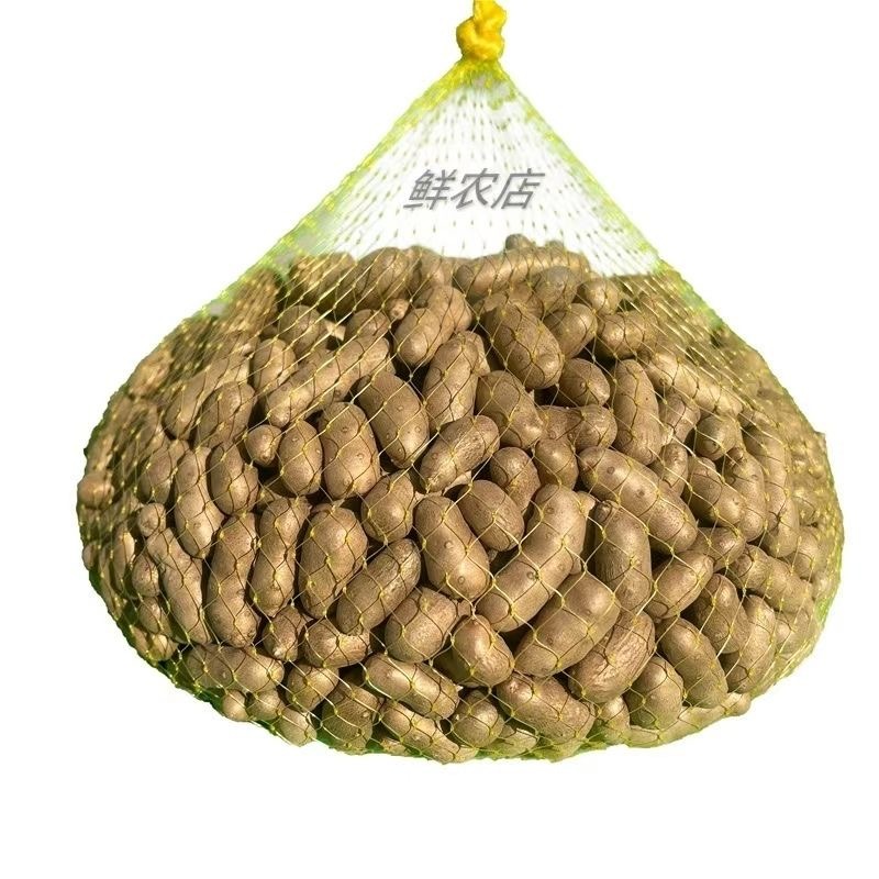 Get Naturally grown yam beans with authentic thin skin Delivered | Weee ...