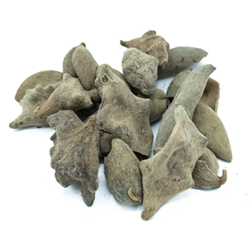 Get WU-BEI-ZI-Galla Chinensis - 1lb Delivered | Weee! Asian Market