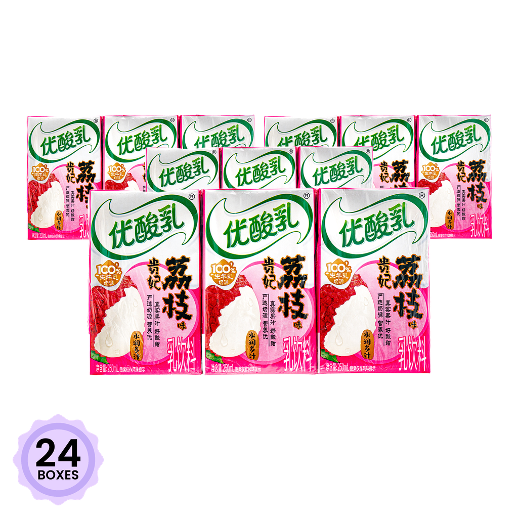Get YILI YOUNGFUN DAIRY DRINK LYCHEE FLAVOR 250 ml*24 boxes Delivered | Weee! Asian Market