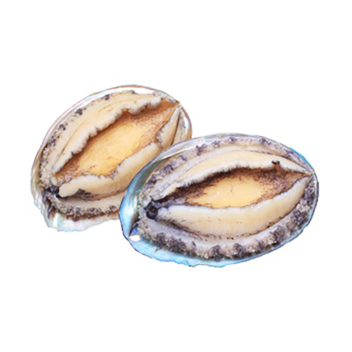 Get Boiled Abalone 3pcs Delivered | Weee! Asian Market