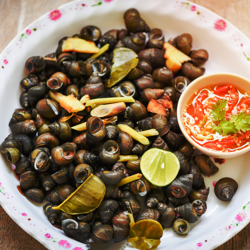 Get Live Periwinkle Snails - 10 lb box Delivered | Weee! Asian Market