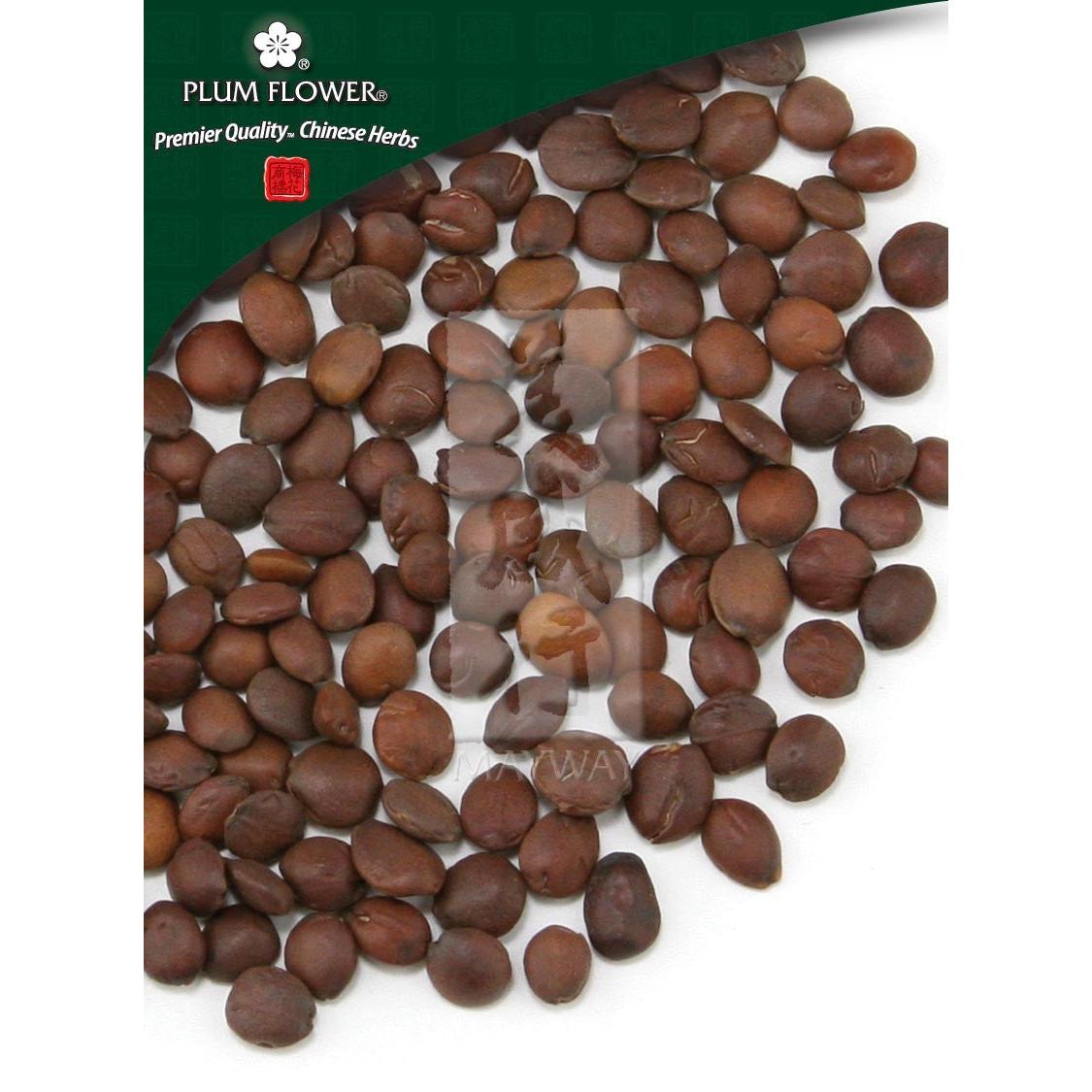 Get Suan Zao Ren (Chao), unsulfured Ziziphus spinosa seed- stir-fried ...