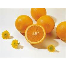 【Airdrome】Orange, 5 lbs - Weee!