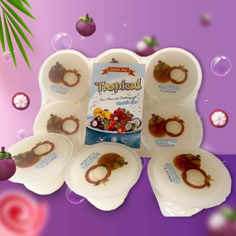 Get Tropical Pudding * Nata De Coco* mangosteen Flavour * 6 pcs /tray ...