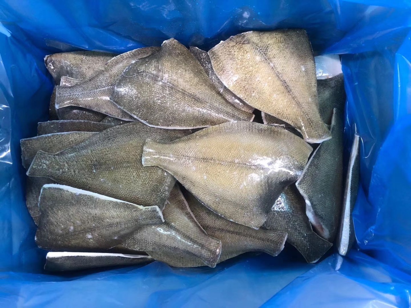 Frozen Wild Flounder (Head off) 10 lbs - Weee!