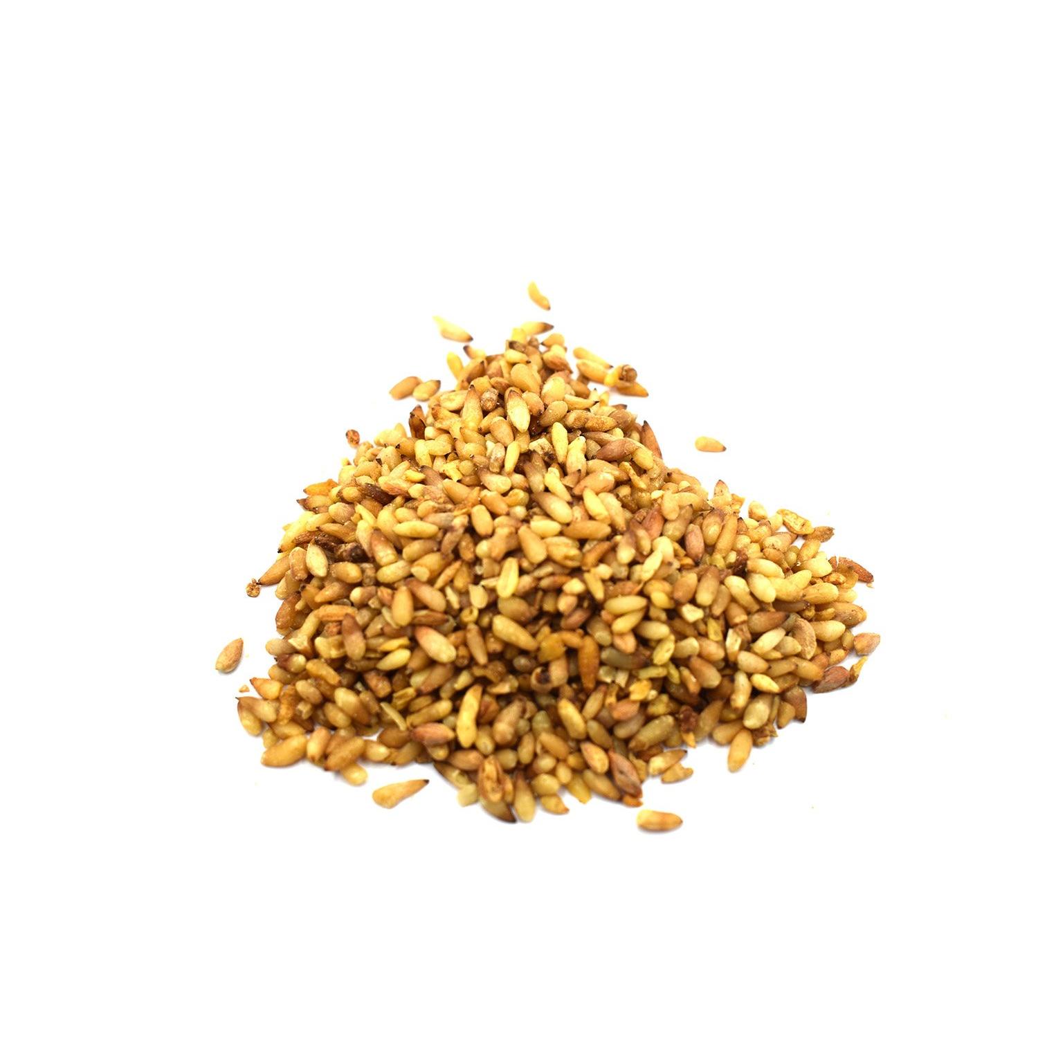 Get BAI ZI REN - Arborvitae Seed - Custom Amount 1lb lb Delivered ...