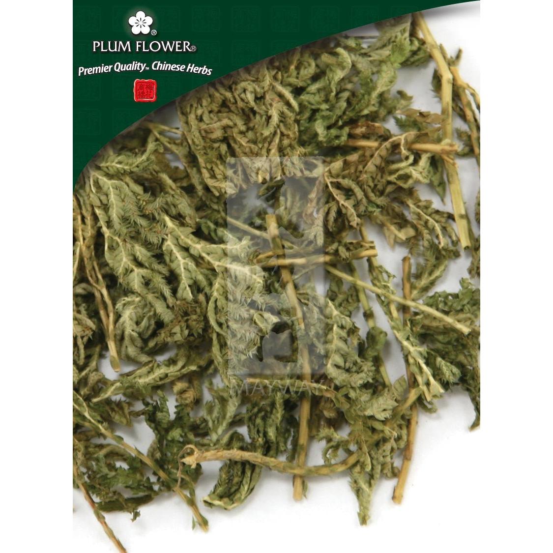 Get Shi Shang Bai, unsulfured Selaginella doederleinii herb Delivered ...