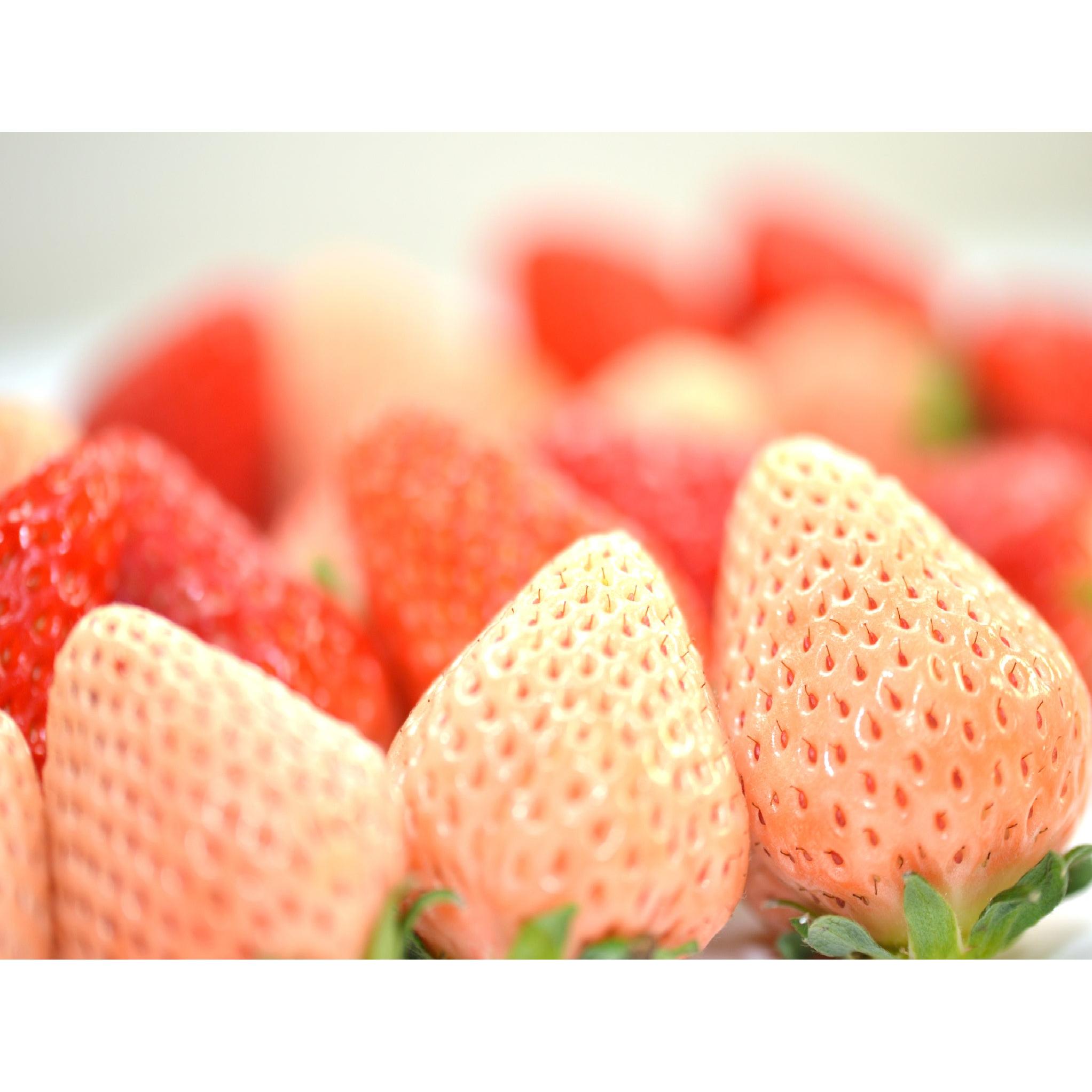 Get Hokkaido Strawberry Mix Collection 270g - limited availability Delivered | Weee! Asian Market