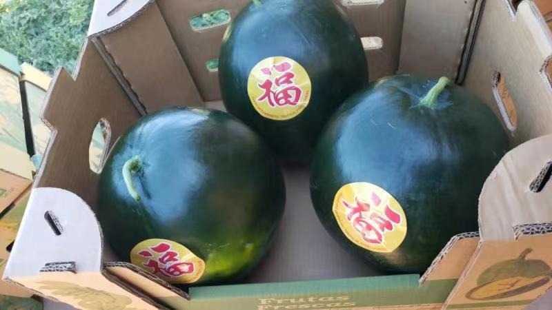 Weee! - Black Skin Watermelon