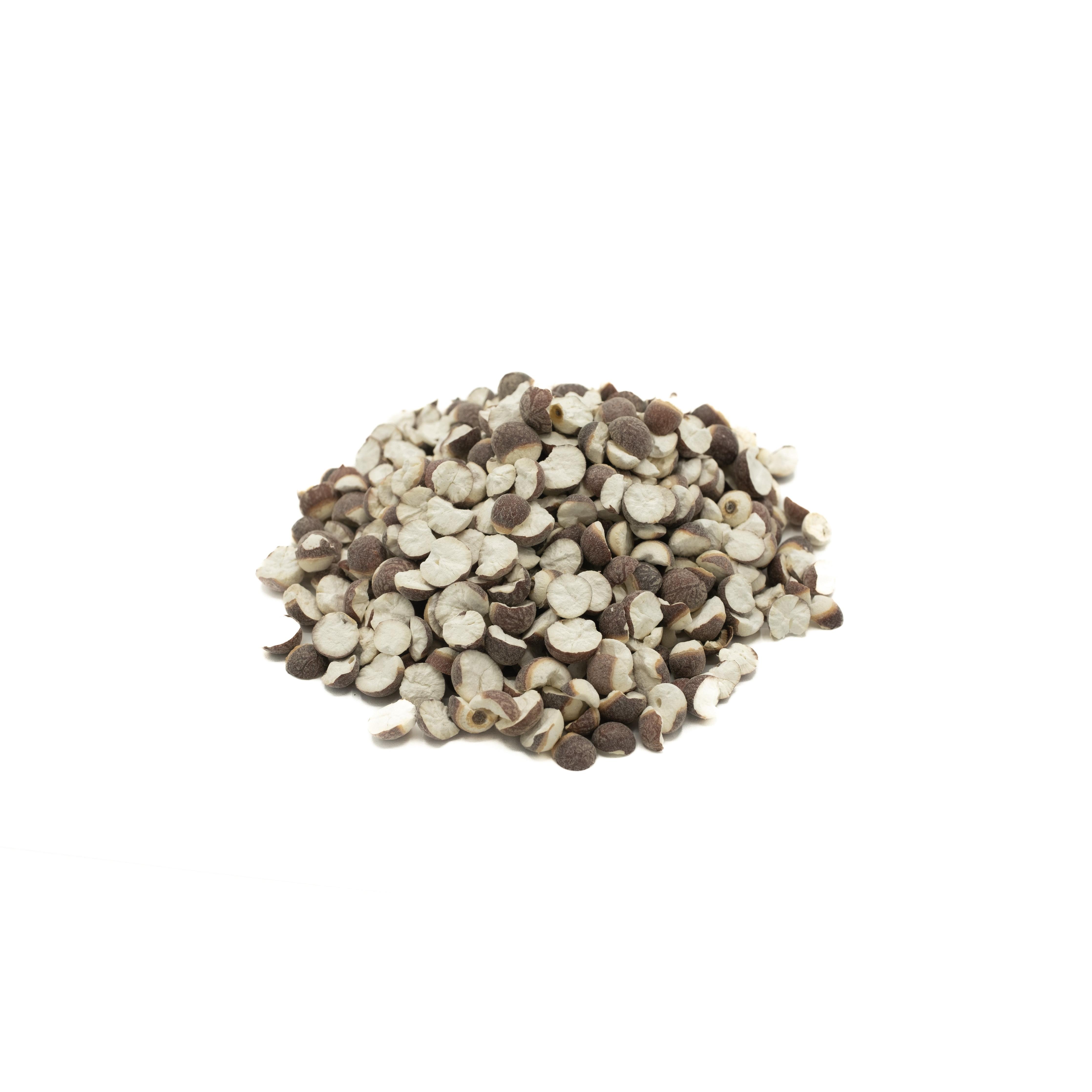 QIAN SHI - 芡实 - Euryale Seeds - Custom Amount 1lb (454g) - Weee!
