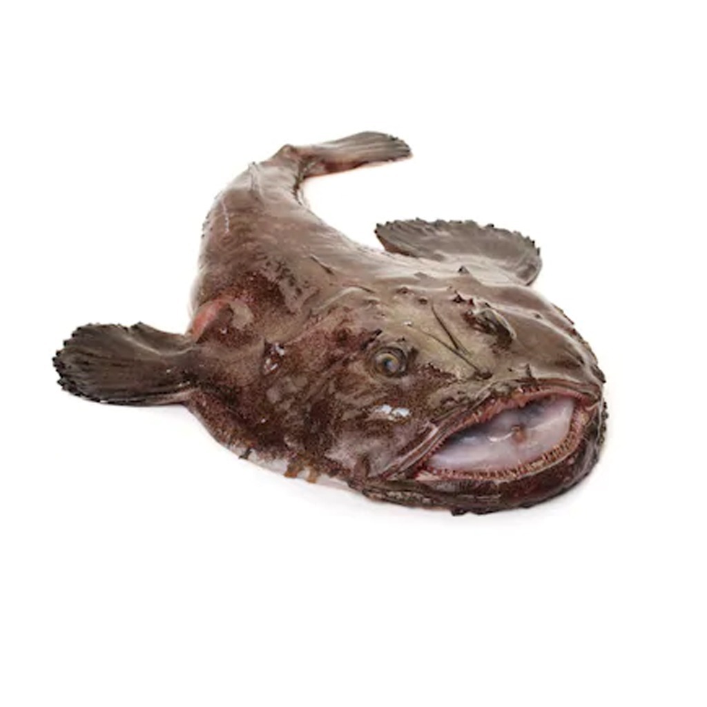 Get Monkfish Delivered | Weee! Asian Market