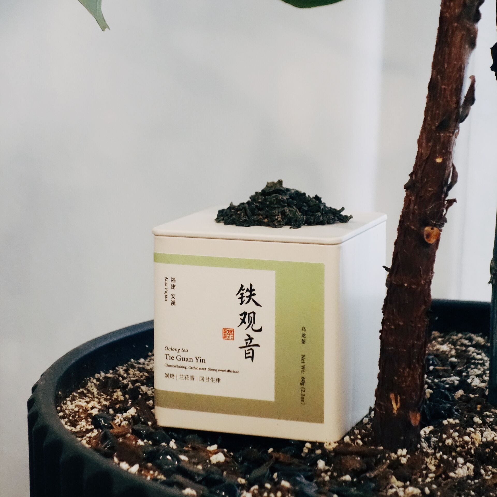 Get Traditional Tie Guan Yin-Trial 3 Sachets (5gx3) Delivered | Weee ...