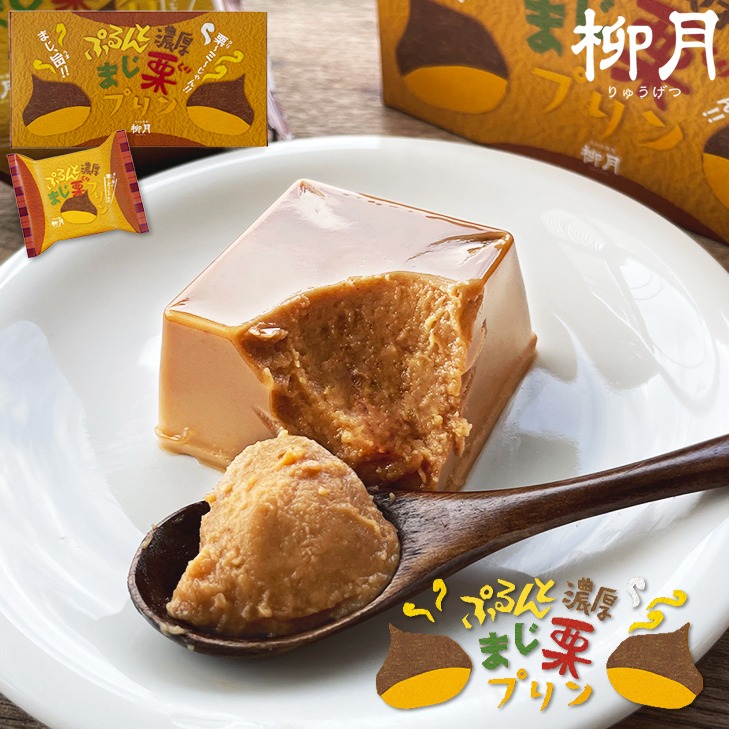 Get Hokkaido Post Ryugetsu Rich Serious Chestnut Pudding 2 pieces ...