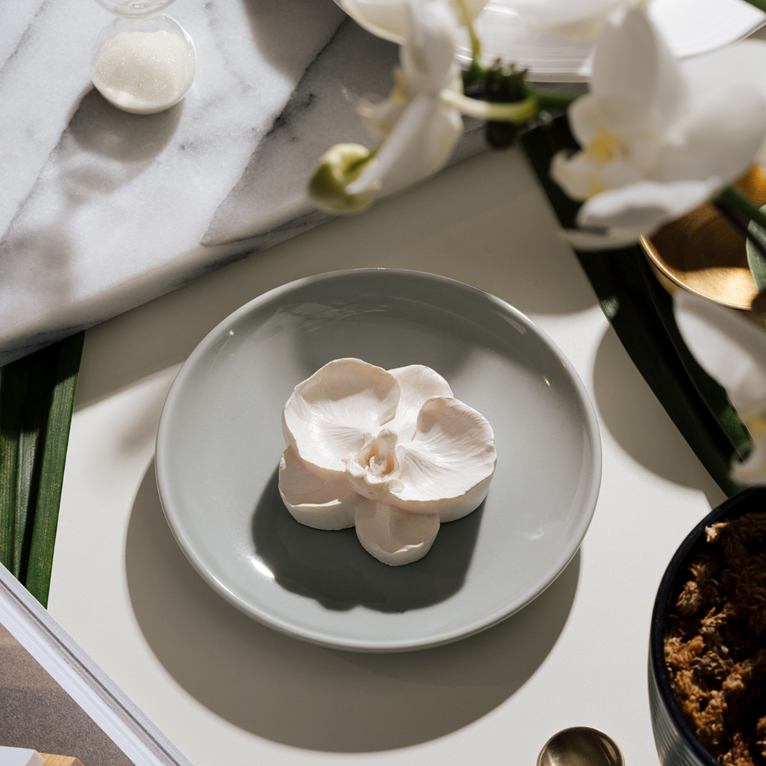 NestBloom - Bird's Nest Dessert/Soup - Pandan Rock Sugar Flavor - Gift ...