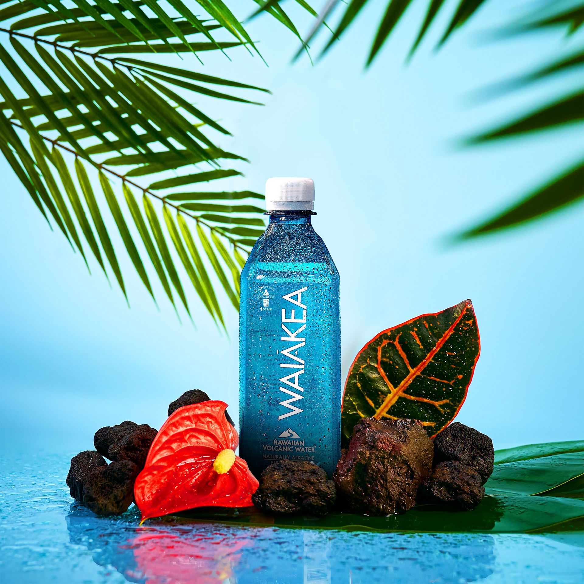 Waiakea Hawaiian Volcanic Water 500mL 12 Pack - Weee!
