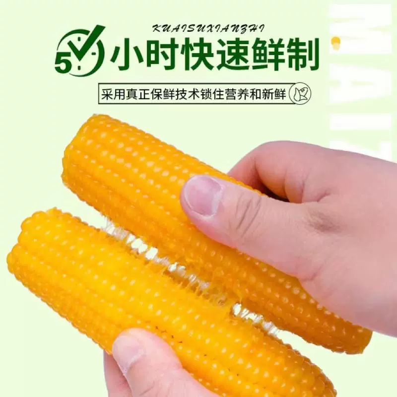 Get Northeast yellow glutinous corn cob new vacuum-packed yellow bud ...