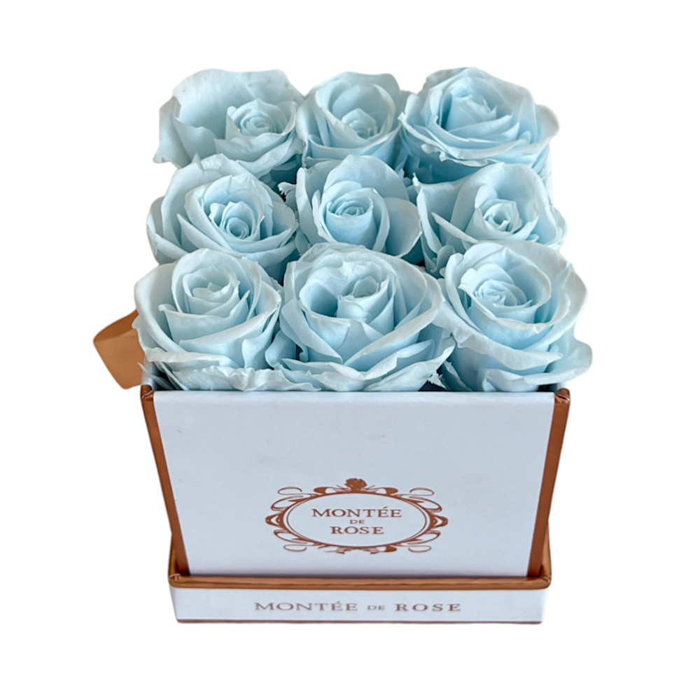 White Square La Petite Rose Baby Blue - Weee!