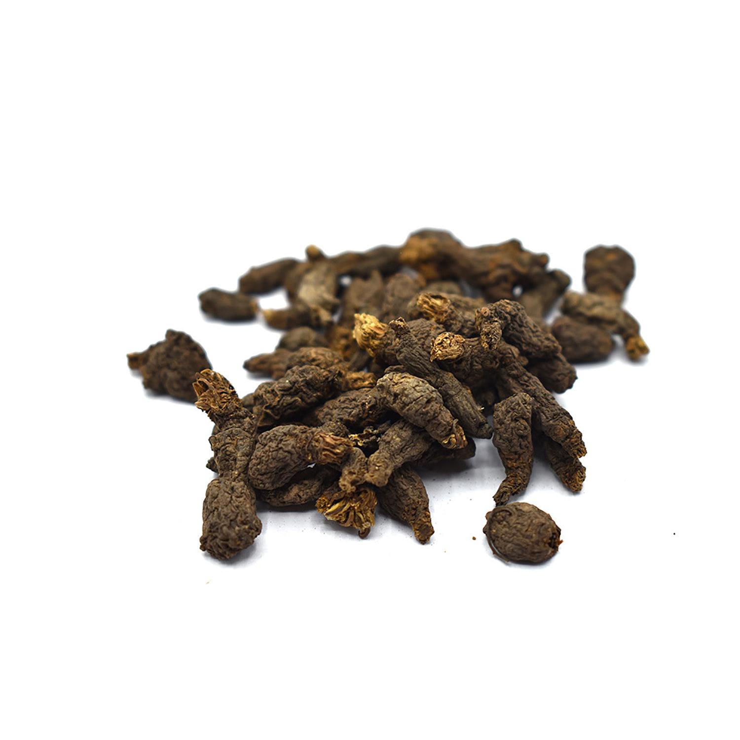 Get TIAN KUI ZI - Semiaquilegia Root Tuber - Mini Bag 10g 10g Delivered ...