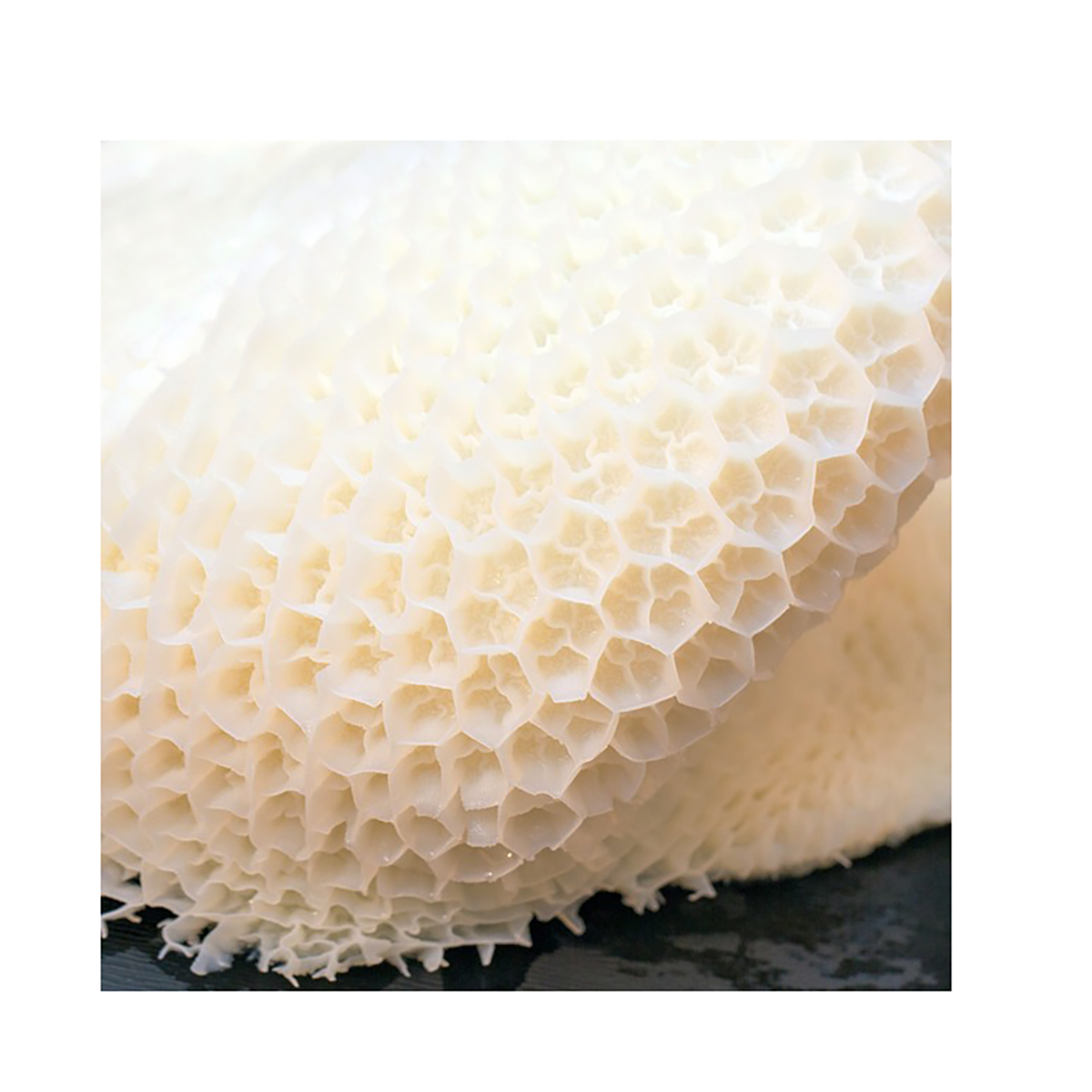 Get Dim Sum King Sliced Honeycomb Beef Tripe Delivered | Weee! Asian Market