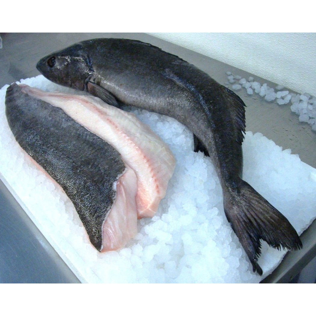 Get Fresh Black Cod Delivered | Weee! Asian Market