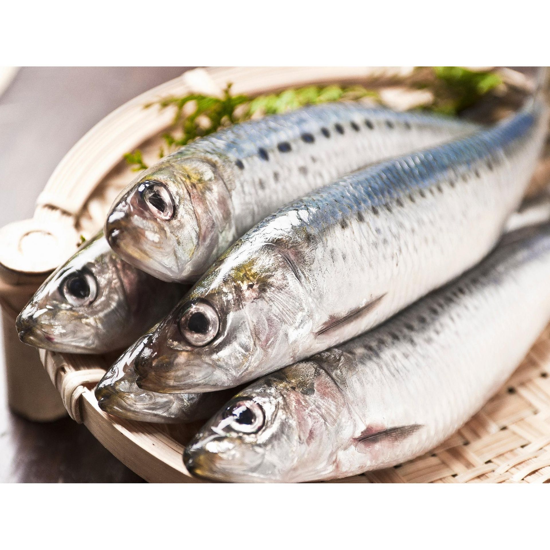 Preimum Iwashi - Weee!