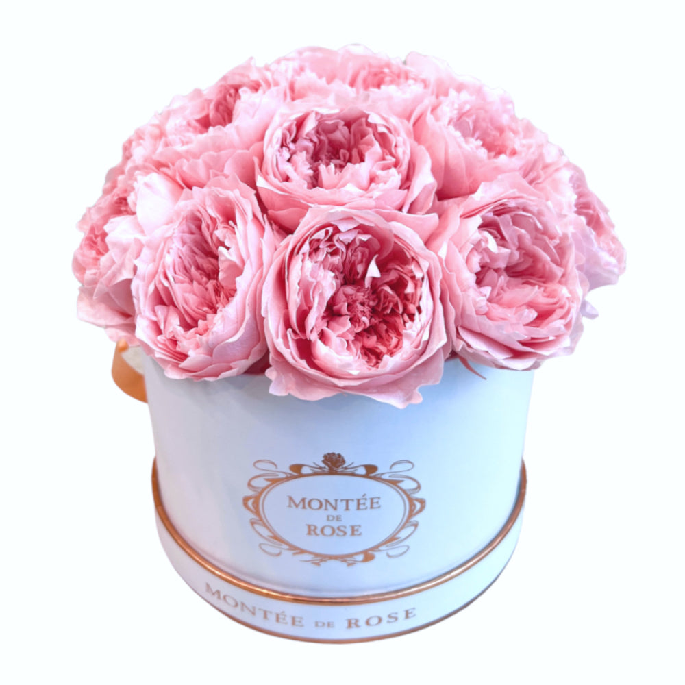 White Peony Dome Pink - Weee!