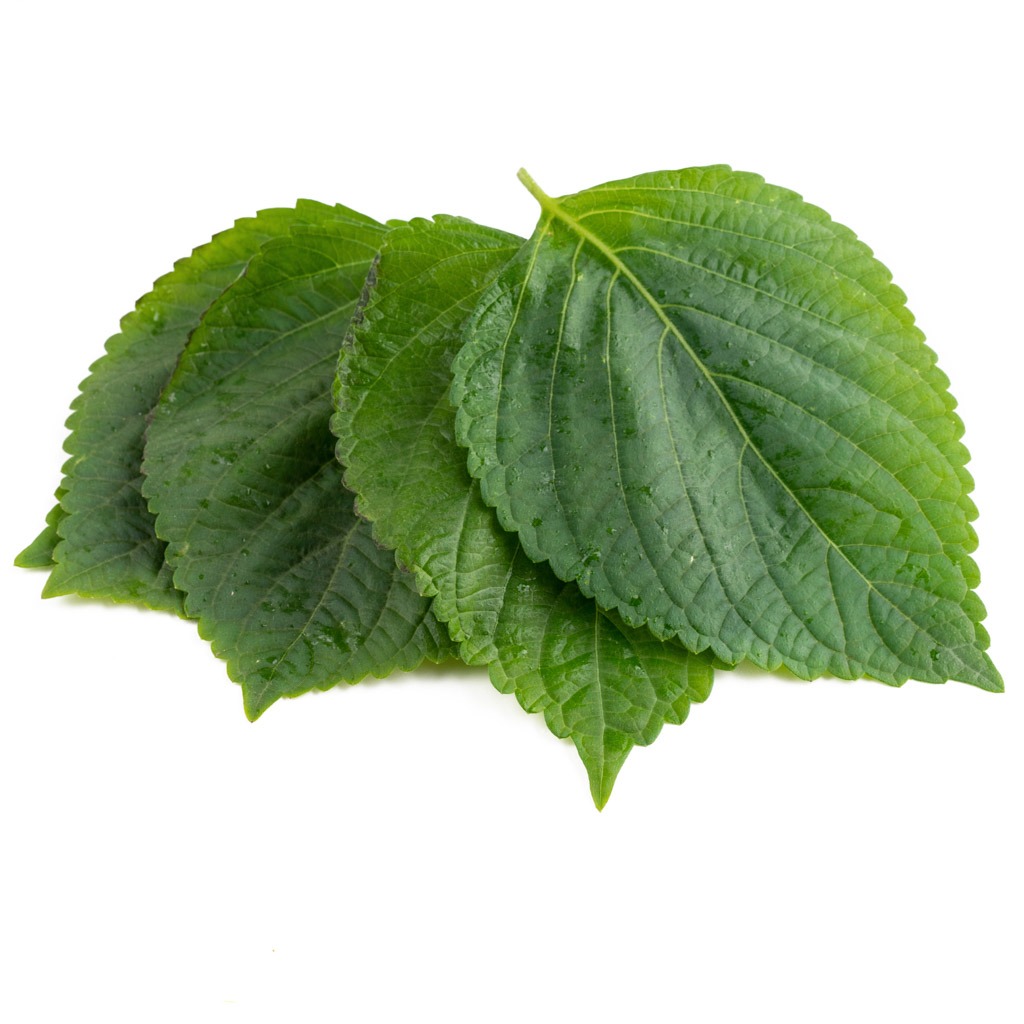 Get Dan Kenip Leaf 1ct Delivered | Weee! Asian Market