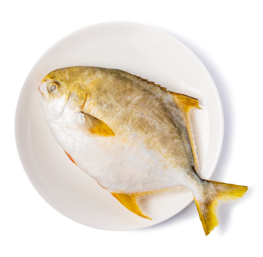 Get Golden Pompano, Frozen Delivered | Weee! Asian Market