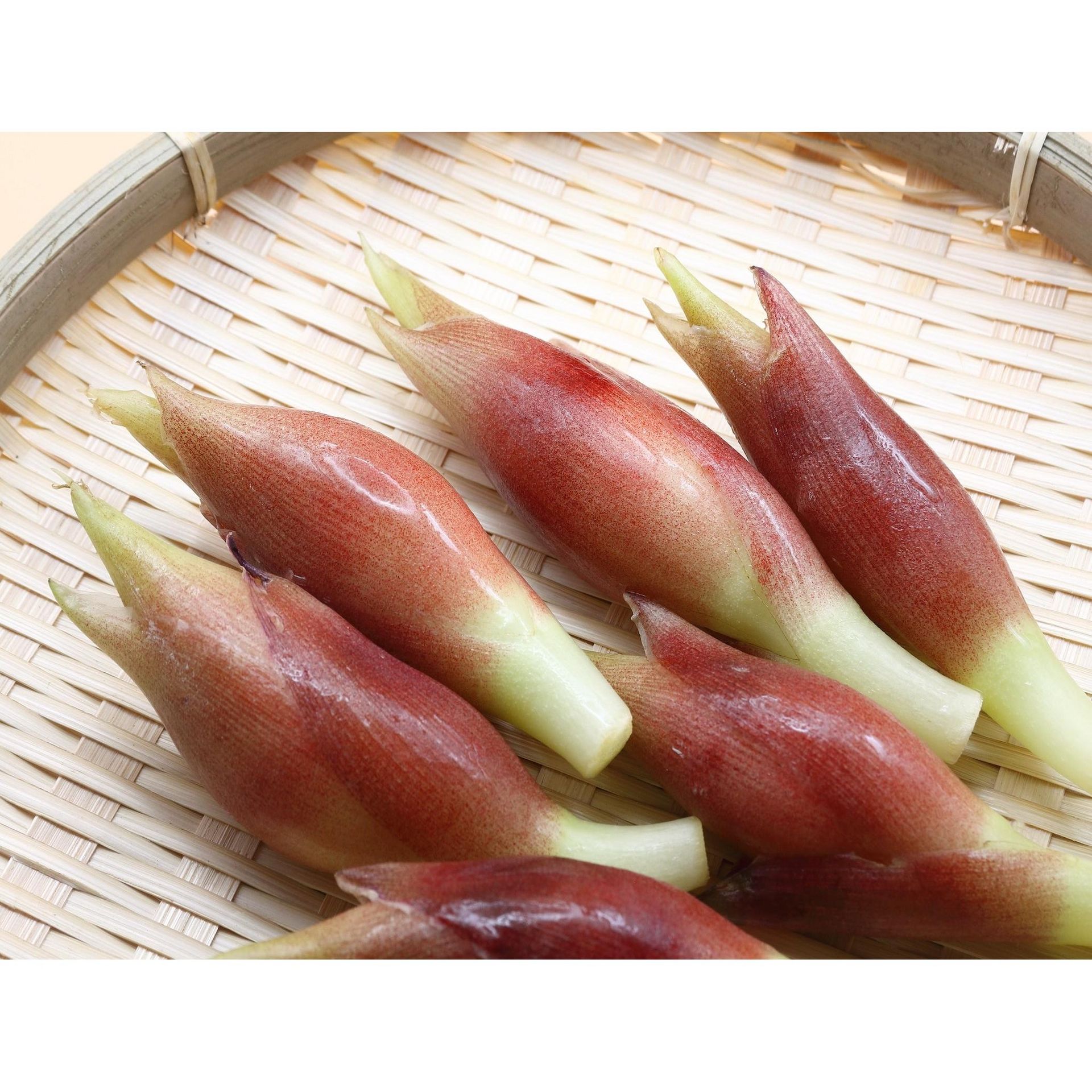 Get Fresh Japanese Myoga 100g Delivered | Weee! Asian Market