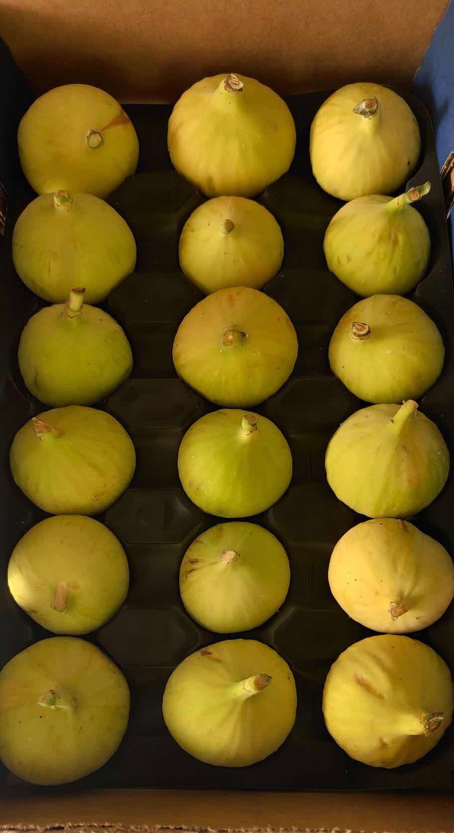 Golden fig 1box - Weee!