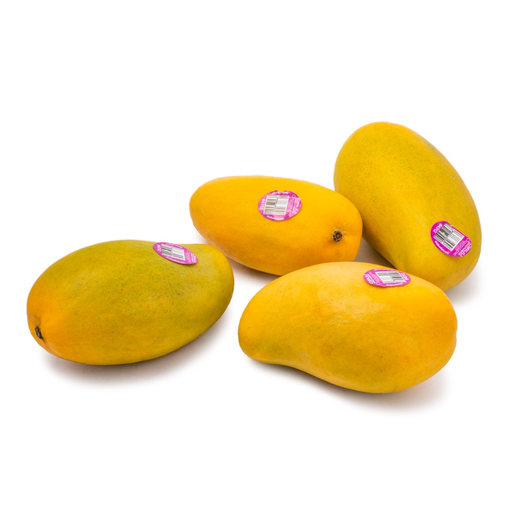 Champagne Mango Tree